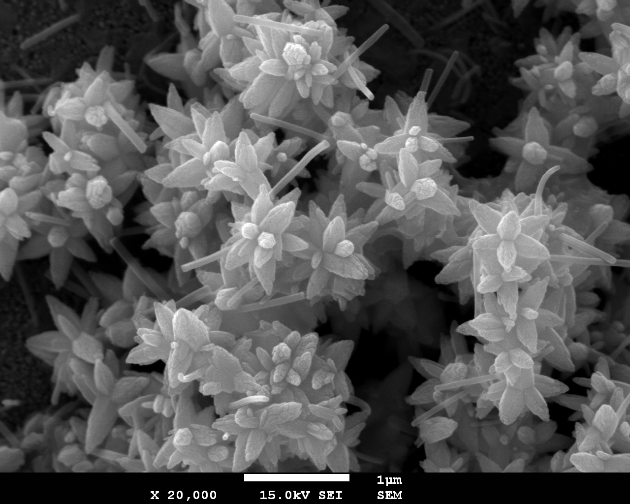 MicroLab - Electron Microscopy Laboratory of IST